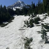 McNeil Point Trail, Oregon - 2,968 Reviews, Map | AllTrails