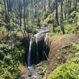 Oneonta Trail, Oregon - 724 Reviews, Map | AllTrails