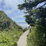 Kalaloch 4th Beach Trail, Washington - 452 Reviews, Map | AllTrails