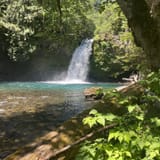 Kalama Falls Trail, Washington - 700 Reviews, Map | AllTrails