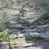 Heart Creek Trail, Alberta, Canada - 3,666 Reviews, Map | AllTrails