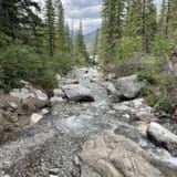 Heart Creek Trail, Alberta, Canada - 3,666 Reviews, Map | AllTrails