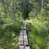 Lonesome Lake Trail, New Hampshire - 3,929 Reviews, Map | AllTrails