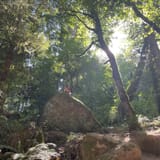 Lake to Lake Trail Loop via Lacamas Creek, Washington - 2,686 Reviews ...