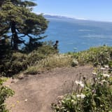 Cape Falcon Trail, Oregon - 4,133 Reviews, Map | AllTrails