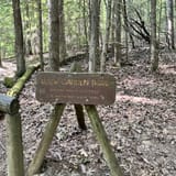 Natural Bridge and Laurel Ridge Trail Loop, Kentucky - 1,956 Reviews ...