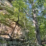 Natural Bridge and Laurel Ridge Trail Loop, Kentucky - 1,956 Reviews ...
