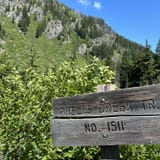 Spider Meadow via Phelps Creek Trail, Washington - 322 Reviews, Map ...