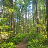 Cable Line Trail to West Tiger #3, Washington - 2,496 Reviews, Map ...
