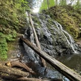 Dickerson Falls, Washington - 2,523 Reviews, Map | AllTrails