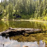 Summit Lake Trail, Washington - 2,805 Reviews, Map | AllTrails
