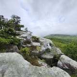 Bull Wheel to High Peter's Kill Trail, New York - 1,174 Reviews, Map ...