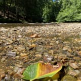 Struble Trail, Pennsylvania - 1,085 Reviews, Map | AllTrails