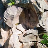 Sculptured Rocks Natural Area, New Hampshire - 126 Reviews, Map | AllTrails