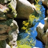 Sculptured Rocks Natural Area, New Hampshire - 126 Reviews, Map | AllTrails