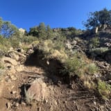 Mount Morrison Trail, Colorado - 6,242 Reviews, Map | AllTrails