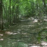 Bauneg Beg Middle Mountain Trail, Maine - 1,148 Reviews, Map | AllTrails