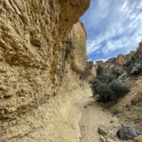 Juniper Gulch Trail, Oregon - 294 Reviews, Map | AllTrails