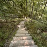 Salt Run, Ohio - 1,515 Reviews, Map | AllTrails