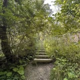 Salt Run, Ohio - 1,515 Reviews, Map | AllTrails