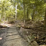 Salt Run, Ohio - 1,515 Reviews, Map | AllTrails