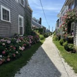 Sconset Bluff Path, Massachusetts - 315 Reviews, Map | AllTrails