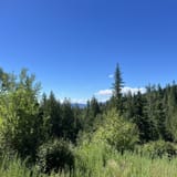 Rathdrum Mountain Trail, Idaho - 323 Reviews, Map | AllTrails