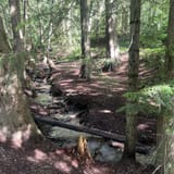 Rathdrum Mountain Trail, Idaho - 323 Reviews, Map | AllTrails