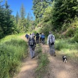 Rathdrum Mountain Trail, Idaho - 323 Reviews, Map | AllTrails