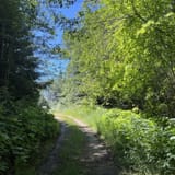 Rathdrum Mountain Trail, Idaho - 323 Reviews, Map | AllTrails