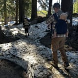 Sun Notch Trail, Oregon - 897 Reviews, Map | AllTrails