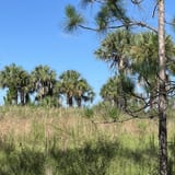 PEAR Park Loop, Florida - 446 Reviews, Map | AllTrails