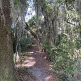 PEAR Park Loop, Florida - 446 Reviews, Map | AllTrails