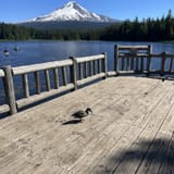 Trillium Lake Loop, Oregon - 2,471 Reviews, Map | AllTrails