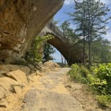 Sky Bridge Trail, Kentucky - 2,636 Reviews, Map | AllTrails