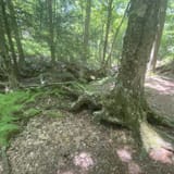 Sunfish Pond via AT and Dunnfield Creek Trail Loop, New Jersey - 1,258 ...