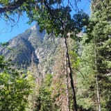 Lisa Falls Trail, Utah - 1,524 Reviews, Map | AllTrails