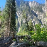 Lisa Falls Trail, Utah - 1,524 Reviews, Map | AllTrails