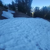 Dunraven Pass to Mount Washburn, Montana - 1,576 Reviews, Map | AllTrails