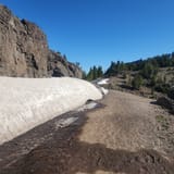 Dunraven Pass to Mount Washburn, Montana - 1,576 Reviews, Map | AllTrails