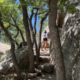 Fatmans Loop Trail, Arizona - 5,587 Reviews, Map | AllTrails