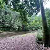 Skippack Creek Loop Trail, Pennsylvania - 4,003 Reviews, Map | AllTrails