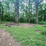 Appalachian Trail: Neel Gap to Hogpen Gap, Georgia - 744 Reviews, Map ...