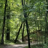 Iron Hill Loop, Georgia - 5,319 Reviews, Map | AllTrails