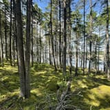 Clark Island Preserve, Maine - 438 Reviews, Map | AllTrails