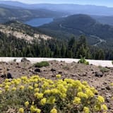 Mount Judah Loop Trail, California - 2,416 Reviews, Map | AllTrails