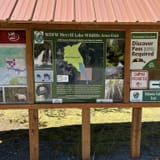 Kalama Falls Trail, Washington - 700 Reviews, Map | AllTrails