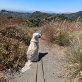 Getty View Trail, California - 907 Reviews, Map | AllTrails