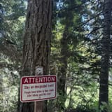 Natural Bridges Viewpoint Trail, Oregon - 835 Reviews, Map | AllTrails