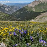 Imogene Pass, Colorado - 927 Reviews, Map | AllTrails